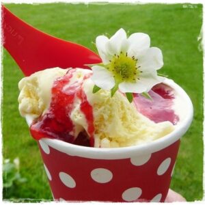 How to Enjoy Clotted Cream in addition to Cream Teas!